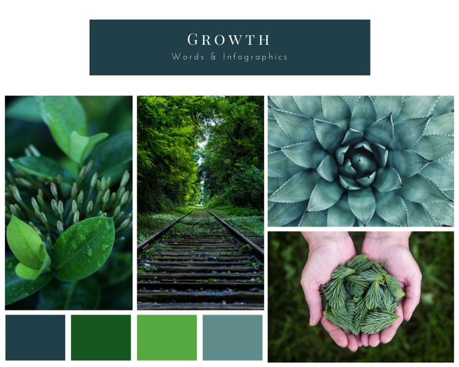 Guest Post: See How Green Represents Growth and Words Feed – MiddleMe